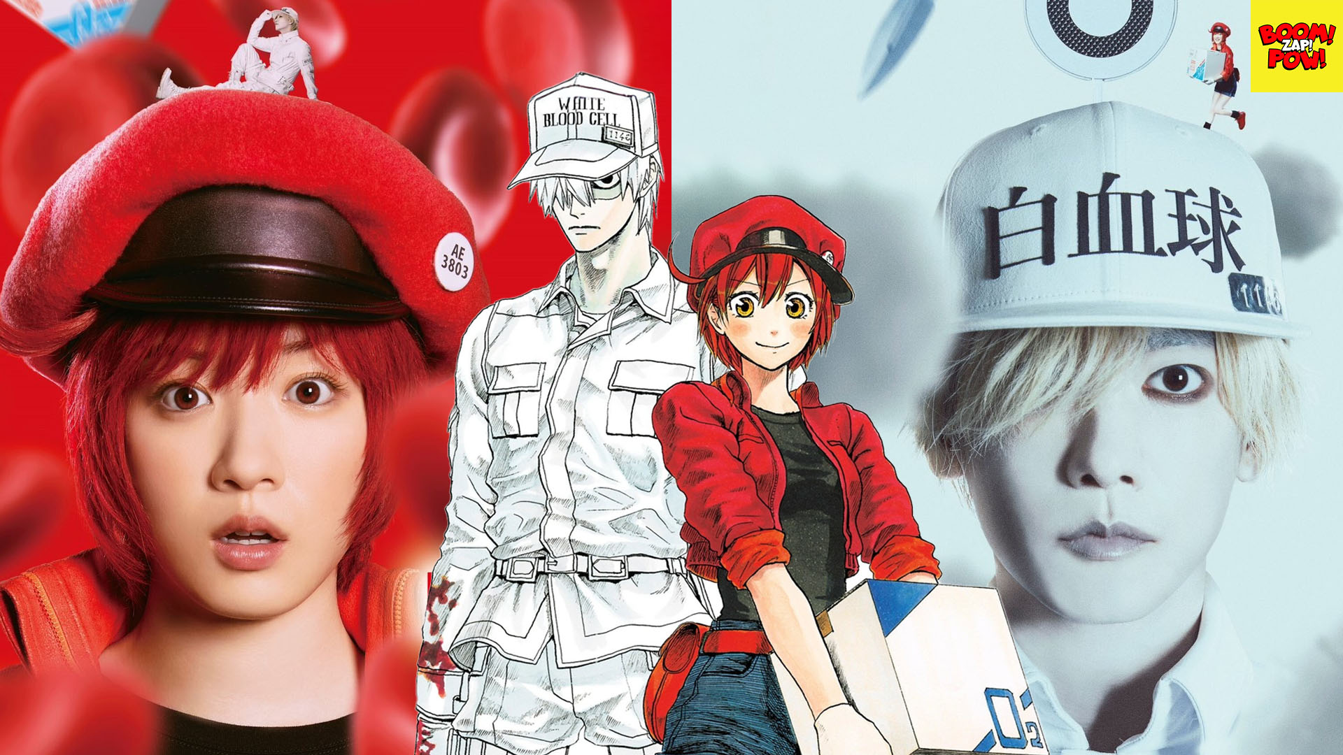 Cells at Work! Live-Action Reveals Teaser and December Release