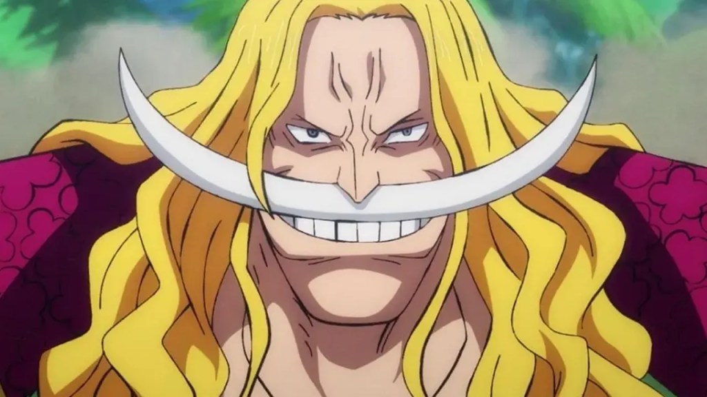 All Known Members of the Infamous Rocks Pirates in One Piece